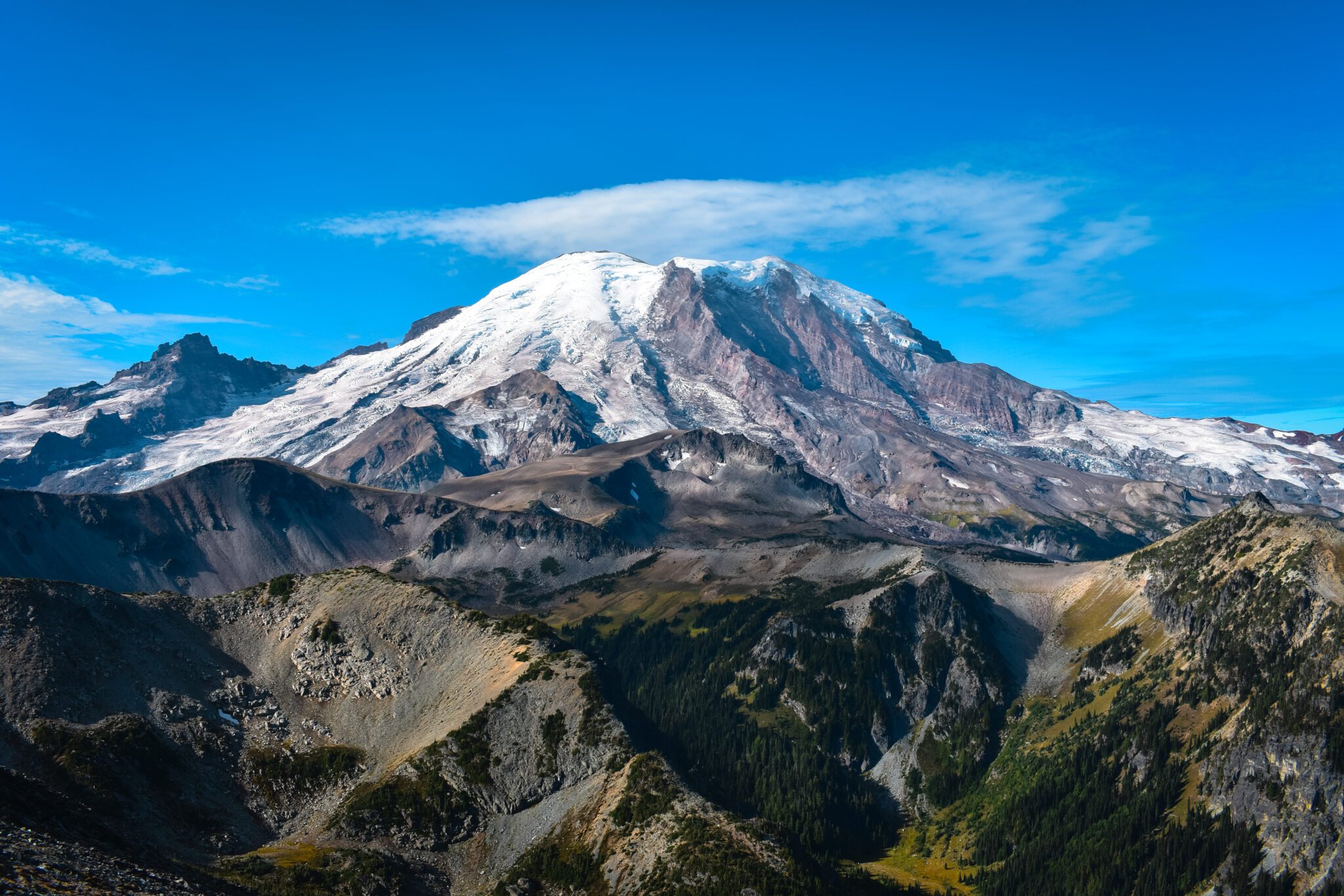 The Ultimate Mount Rainier National Park Guide & Itinerary - Well Read ...