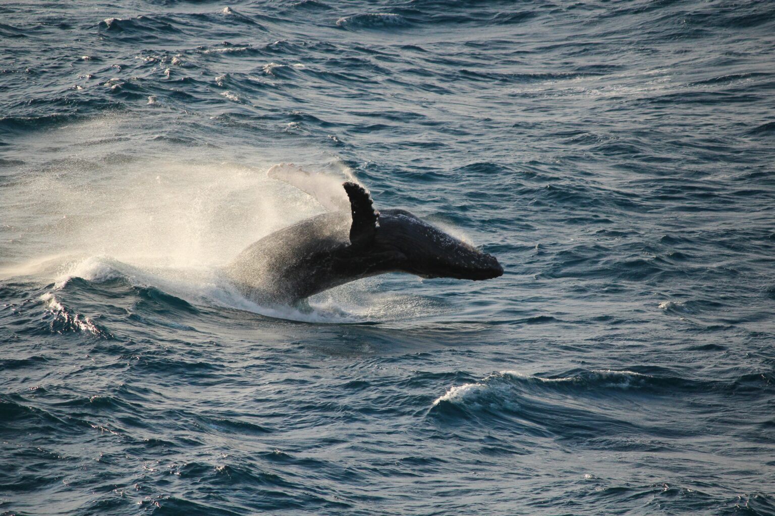 Adventure Awaits - Thrilling Activities in Kauai for an Unforgettable ...