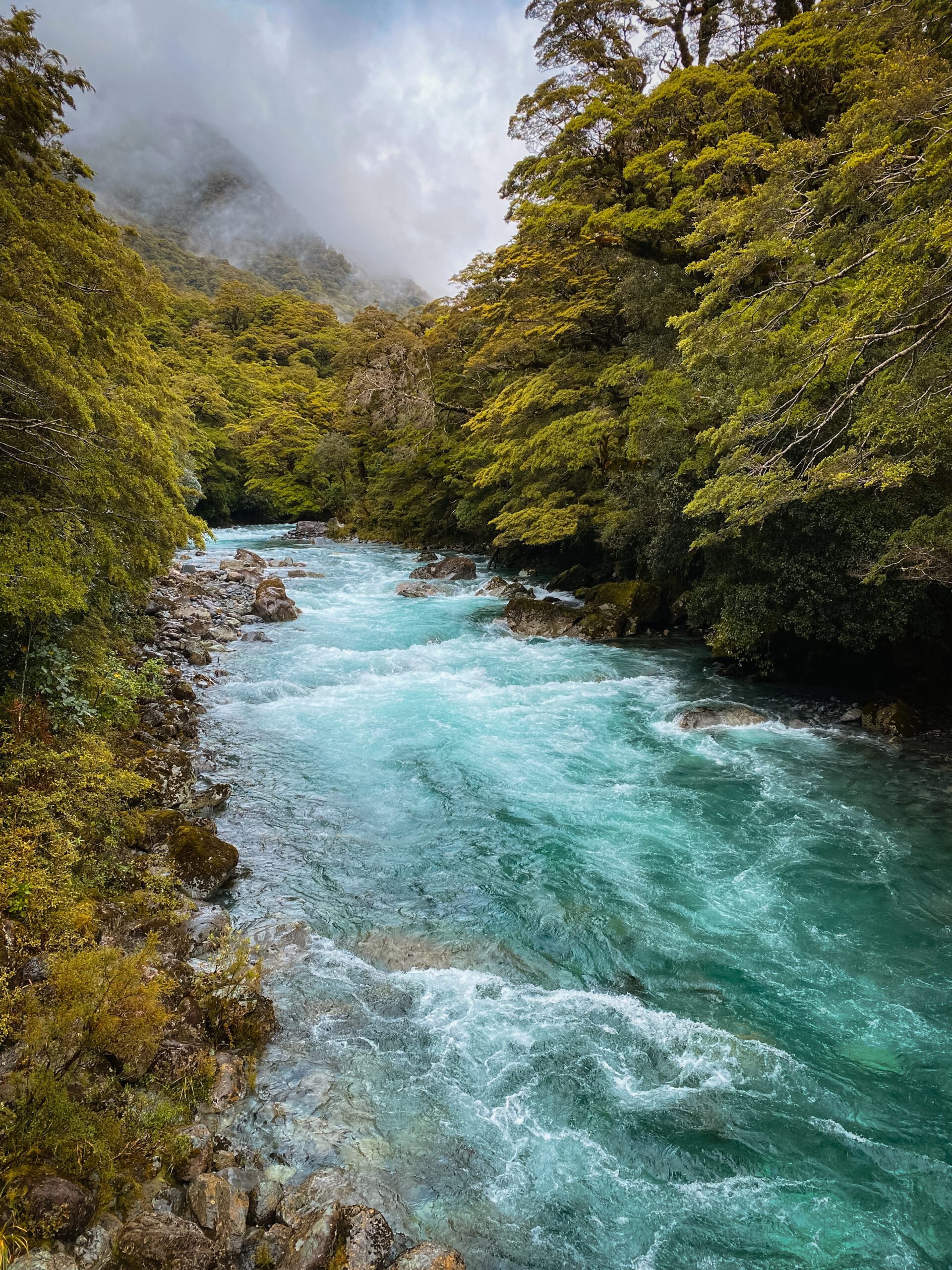 14 Must-See Stops Along Milford Road for an Unforgettable Journey ...