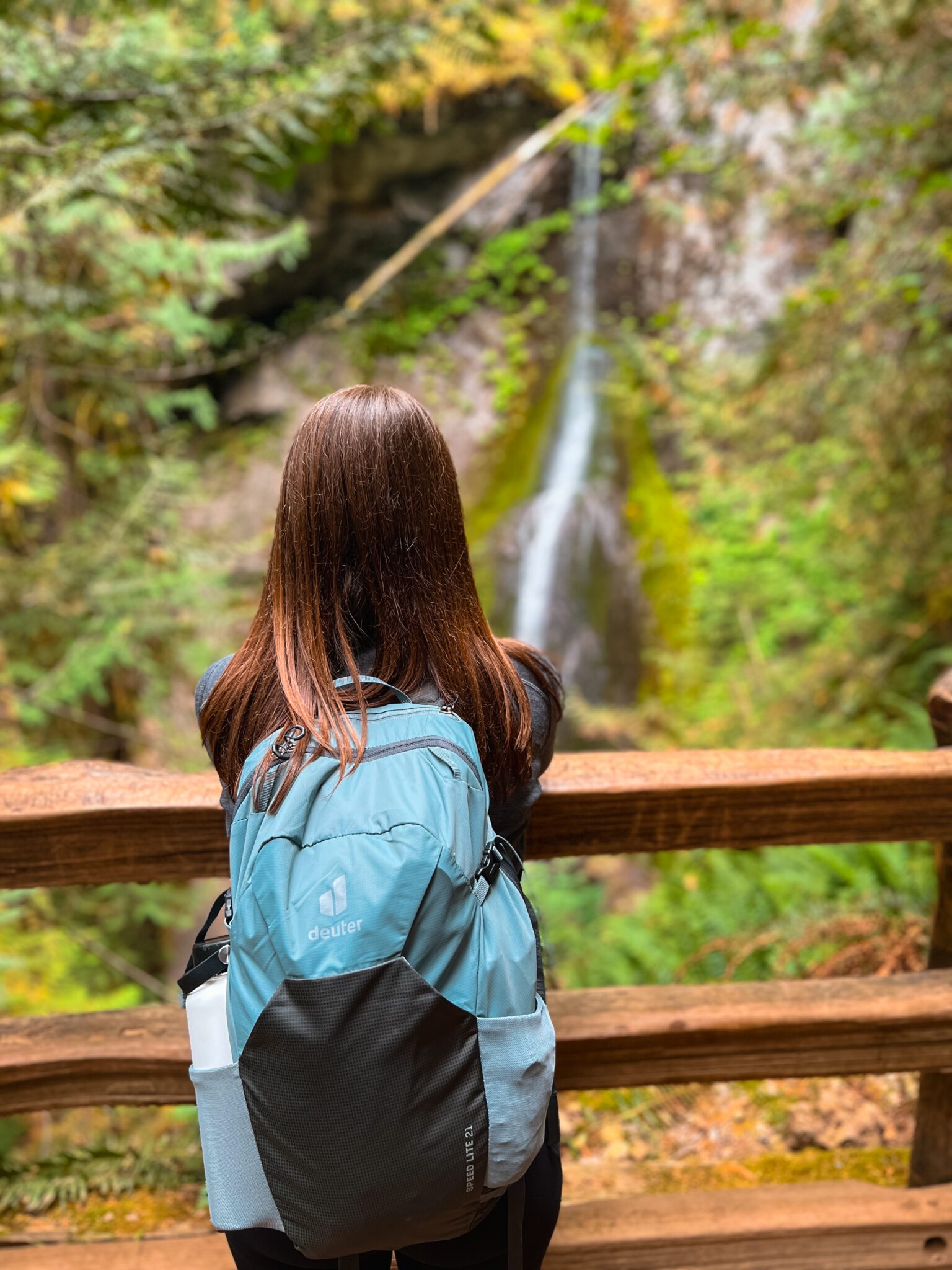 The Ultimate Olympic National Park Guide - Well Read Travels